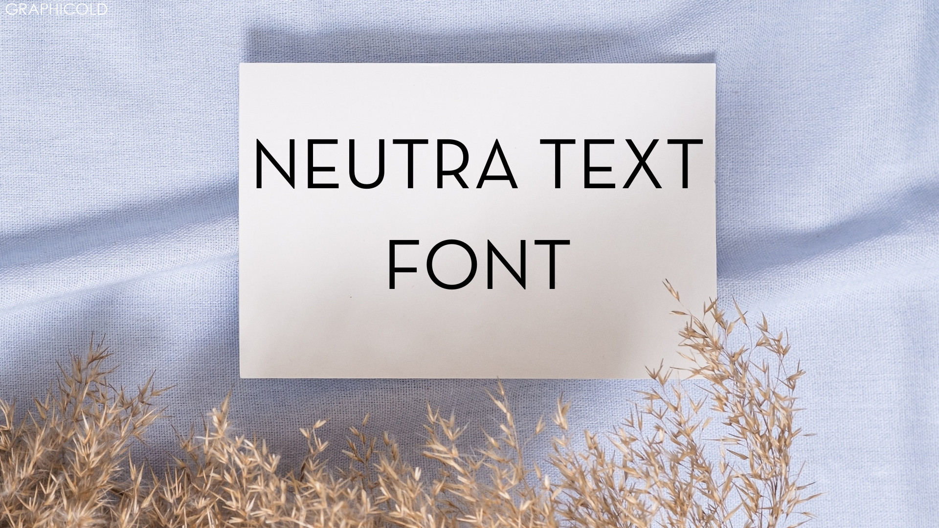 The Neutra Font Clean And Timeless Typography For Every Design Project The Neutra Font Clean And Timeless Typography For Every Design Project