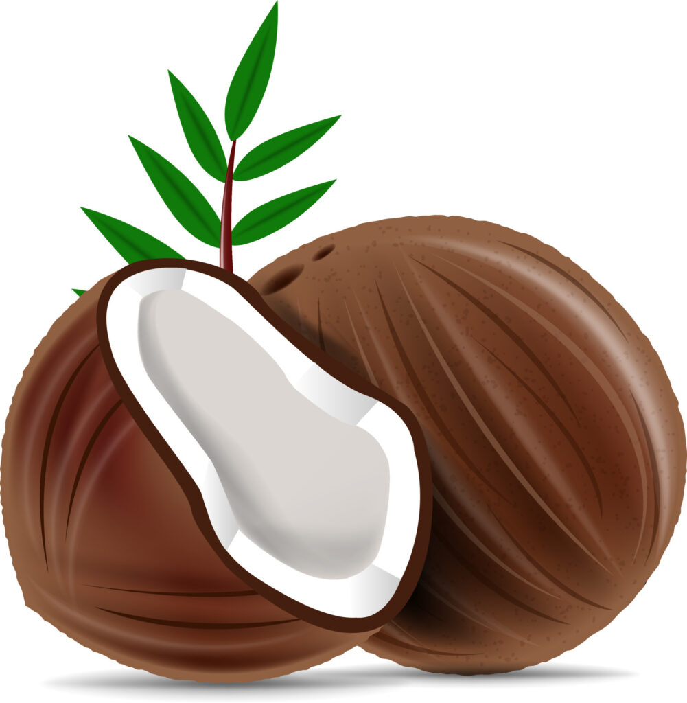 Coconut Illustration: Showcasing The Beauty Of Tropical Paradise ...