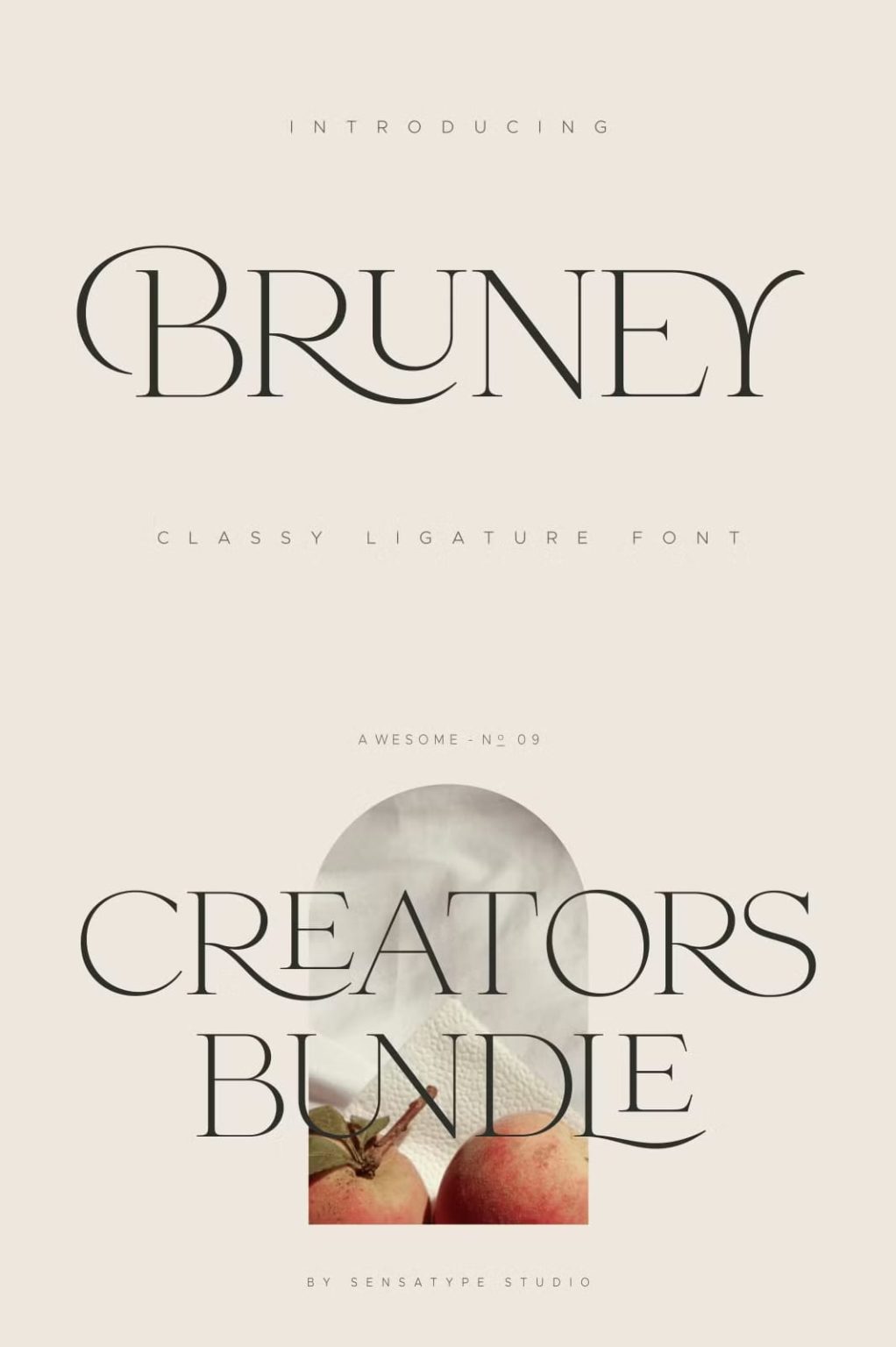 Bruney - Classy Ligature Font - GRAPHICOLD