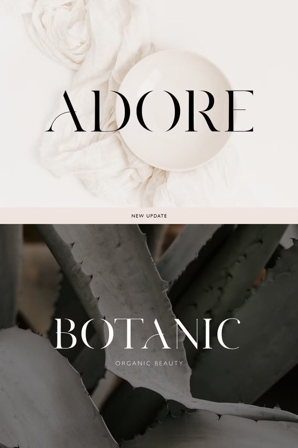 Adore Modern Serif Font - GRAPHICOLD