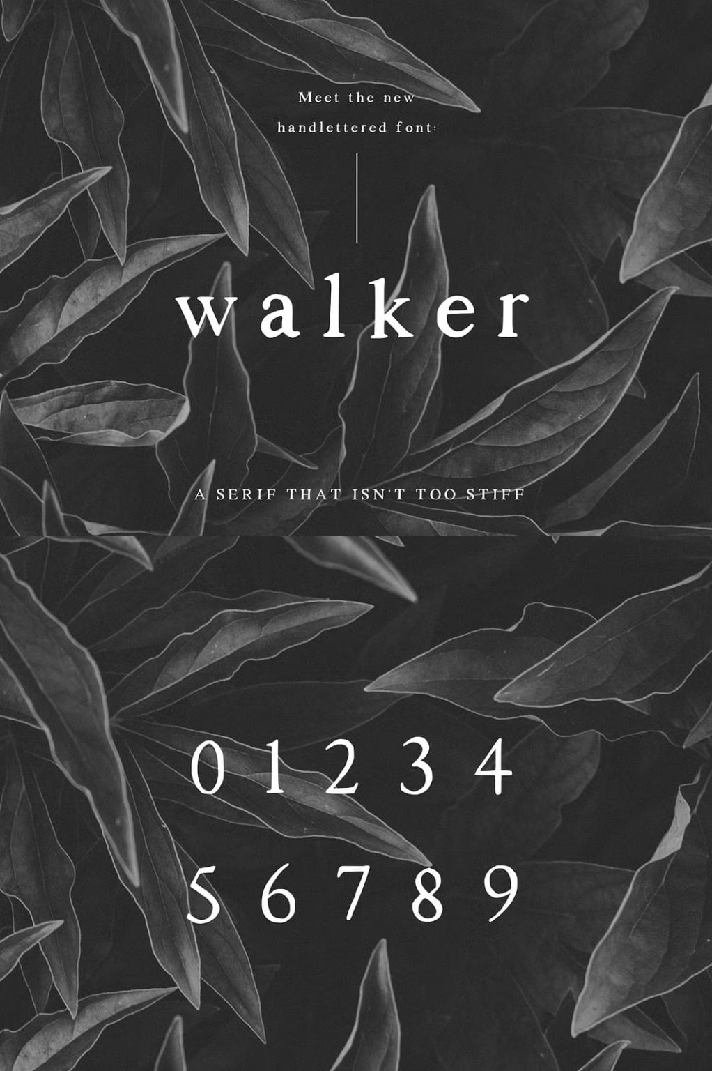 Walker: a Handlettered Serif - GRAPHICOLD