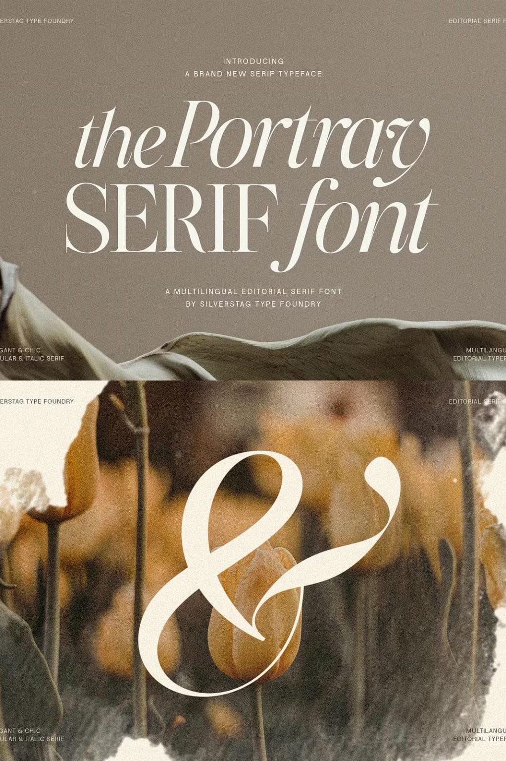 The Portray - Elegant Serif Typeface - GRAPHICOLD