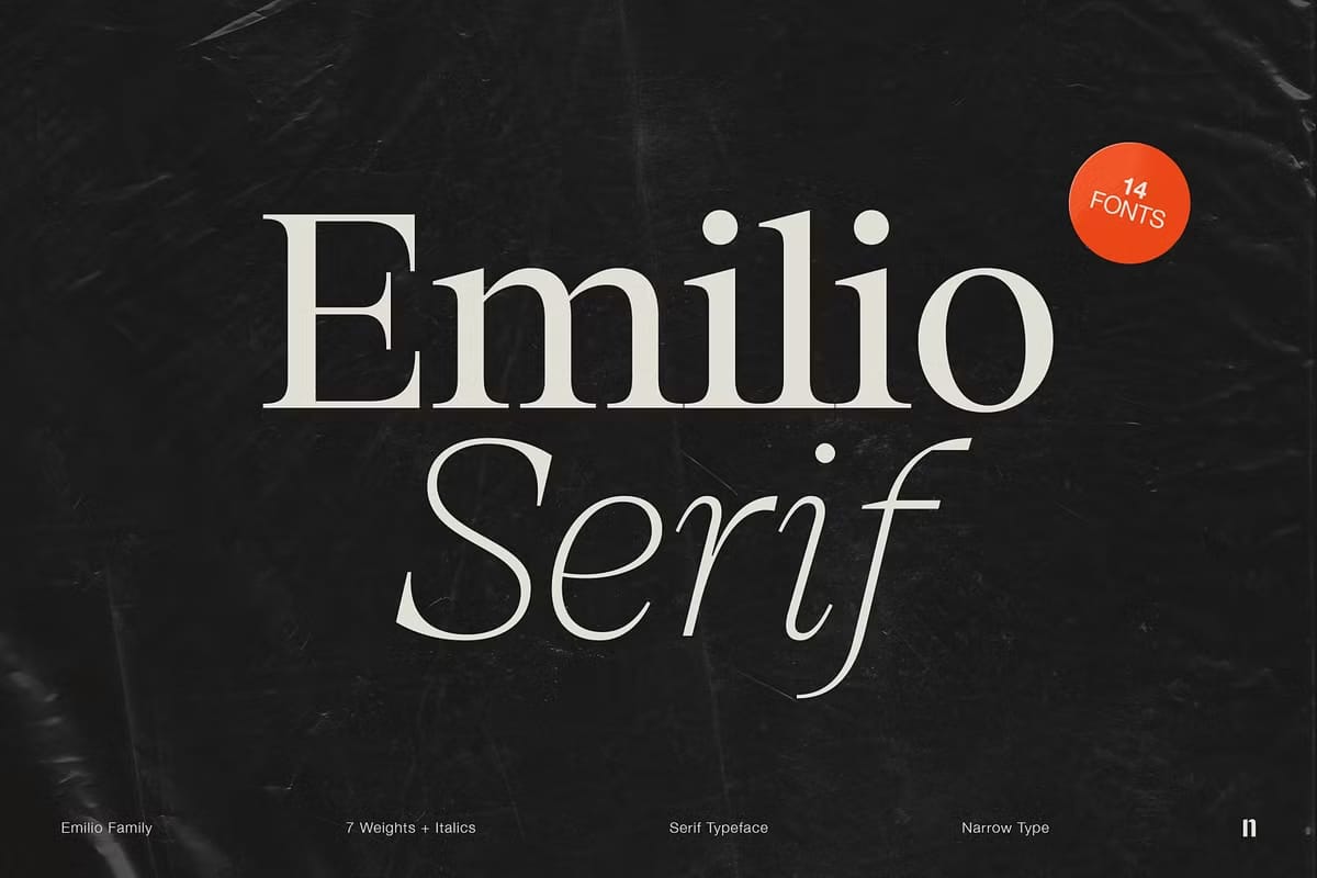 Emilio Serif Family (14 Fonts) - GRAPHICOLD
