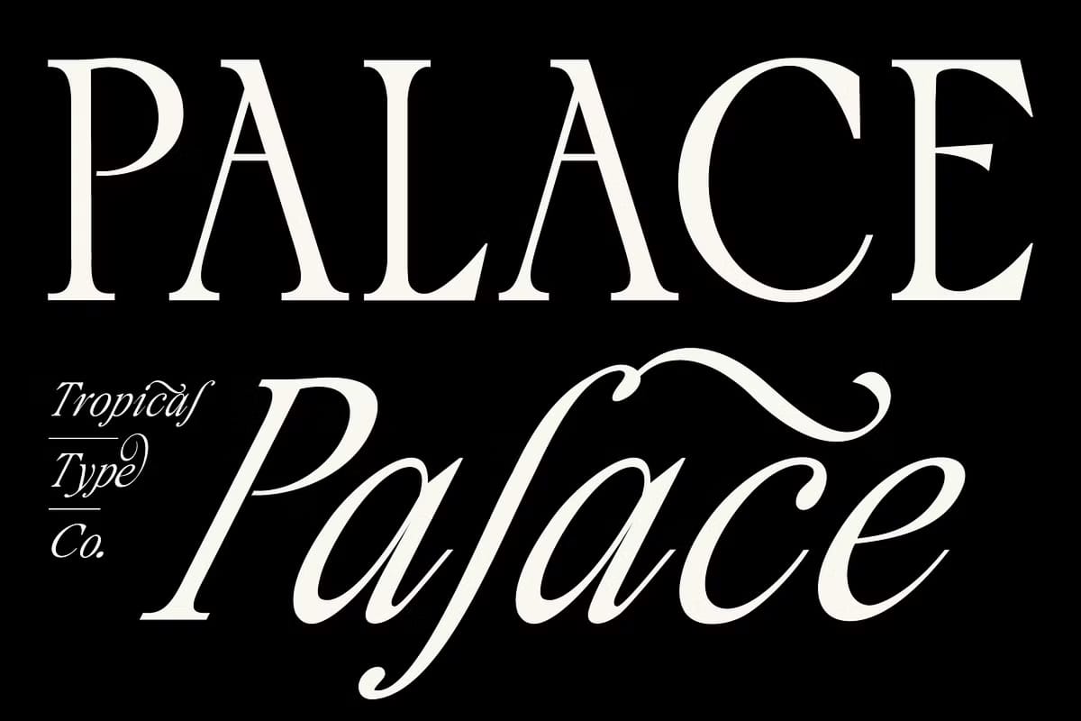 Palace Serif Typeface - GRAPHICOLD