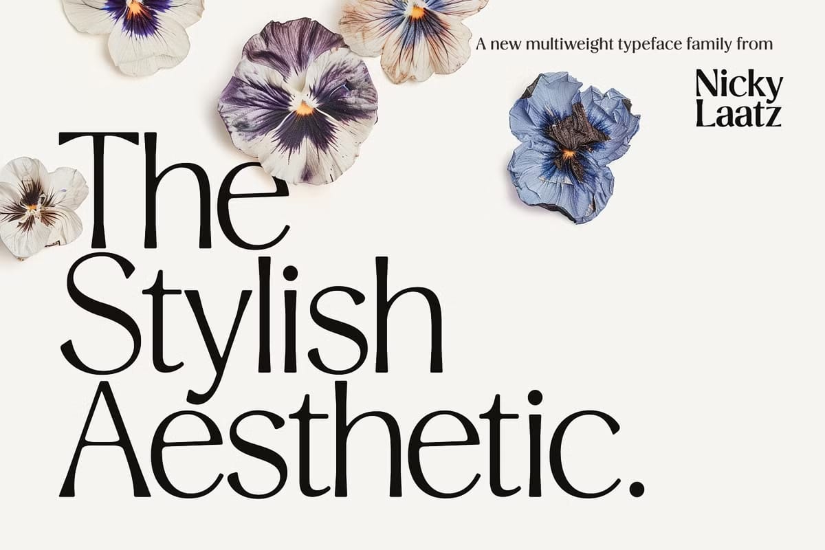 Stylish Aesthetic Typeface - GRAPHICOLD