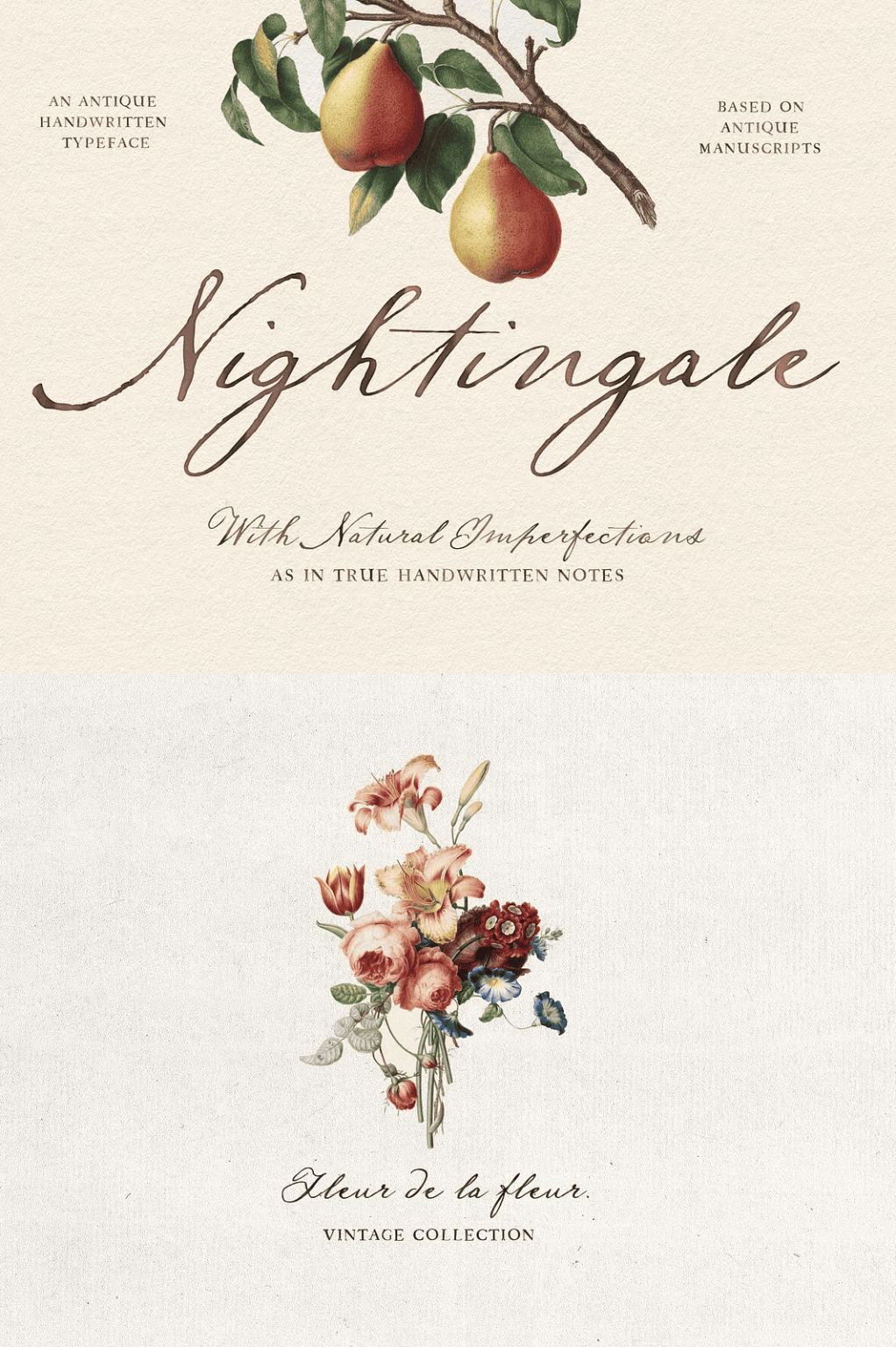 Nightingale Script - GRAPHICOLD