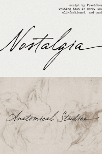 Nostalgia // Vintage Script Font - GRAPHICOLD