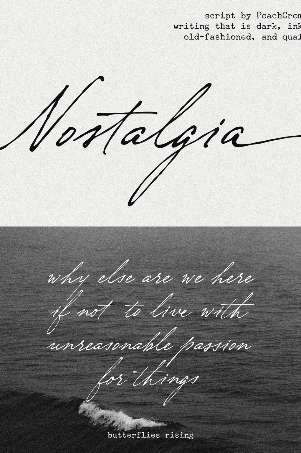 Nostalgia // Vintage Script Font - GRAPHICOLD