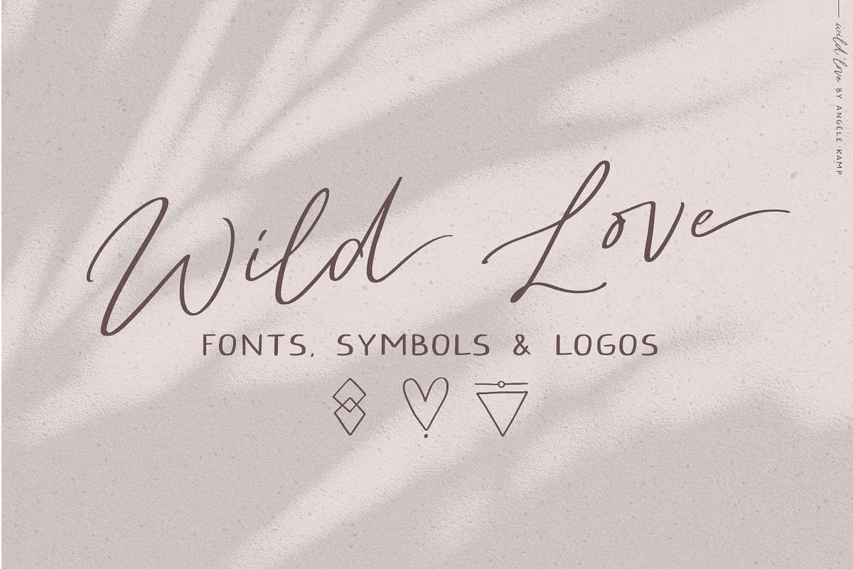 Script Font Wild Love Logos - GRAPHICOLD